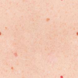 Environment Textures - Show Photos - High Resolution Textures for 3D ...