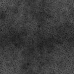 Environment Textures - Show Photos - High Resolution Textures for 3D ...