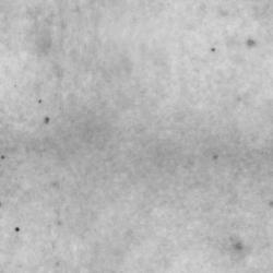 Environment Textures - Show Photos - High Resolution Textures for 3D ...