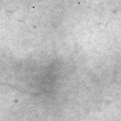 Environment Textures - Show Photos - High Resolution Textures for 3D ...